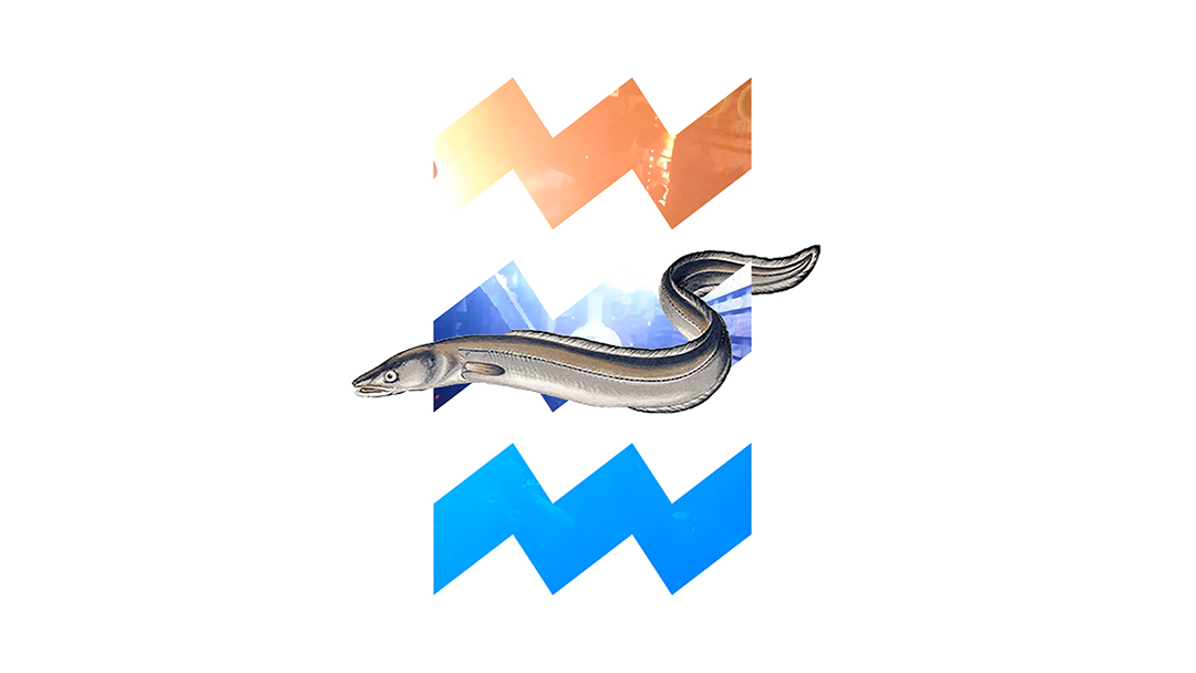 Eindhoven de Gladste - Effenaar